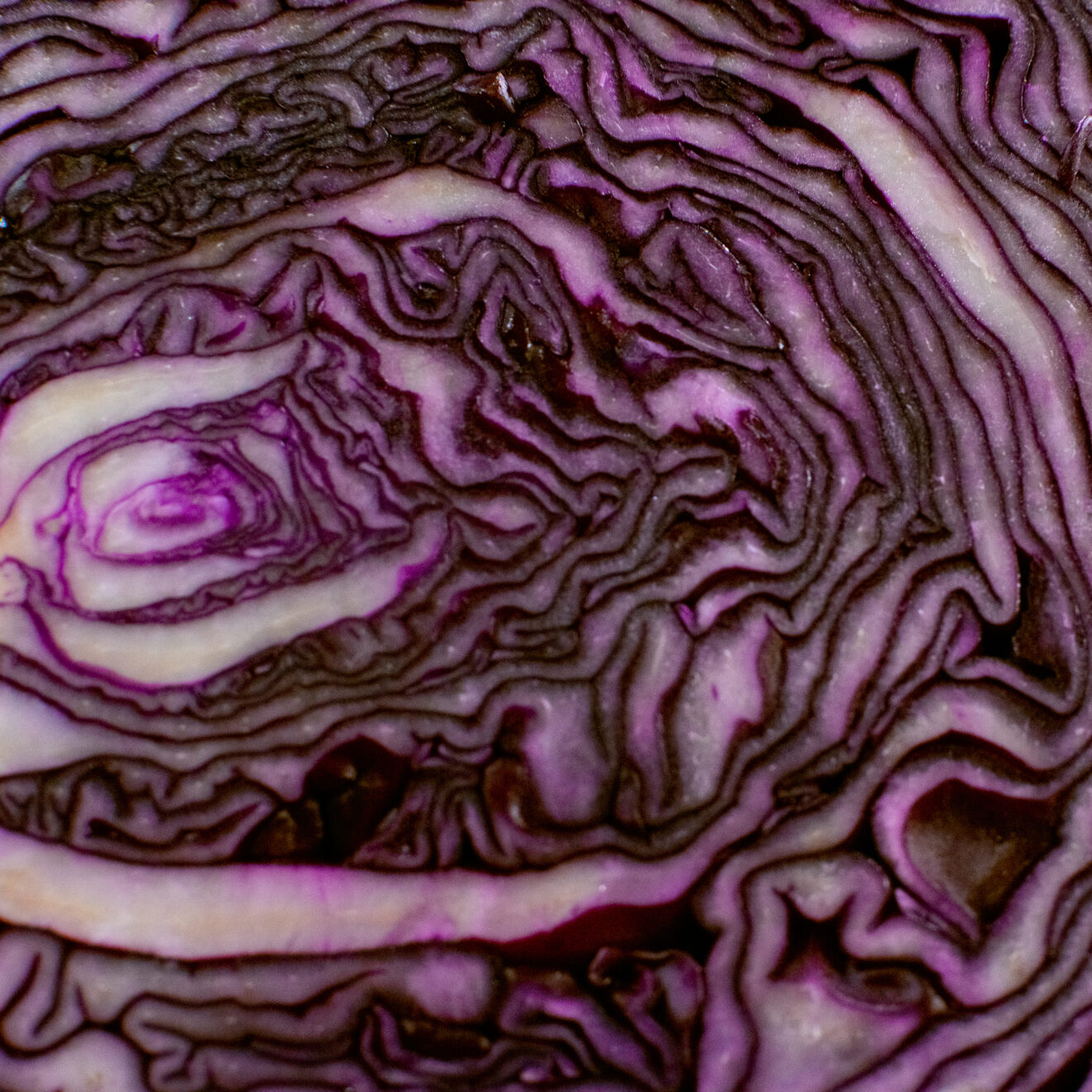 Einfach Natürlich Kochen Rotkohl mal ganz anders genießen
